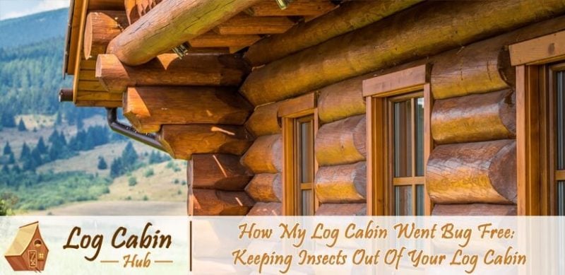 How to Go Bug Free: Keeping Insects Out Your Log Cabin - Log Cabin Hub