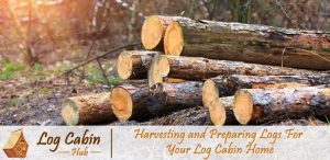 Harvesting Lumber and Preparing Logs For Your Log Cabin Home - Log ...
