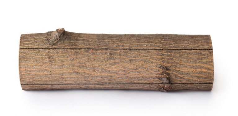 What Are Hand Hewn Log Homes? - Log Cabin Hub