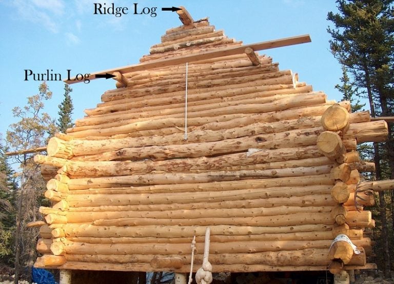 Log Home Logs: All You Need to Know - Log Cabin Hub