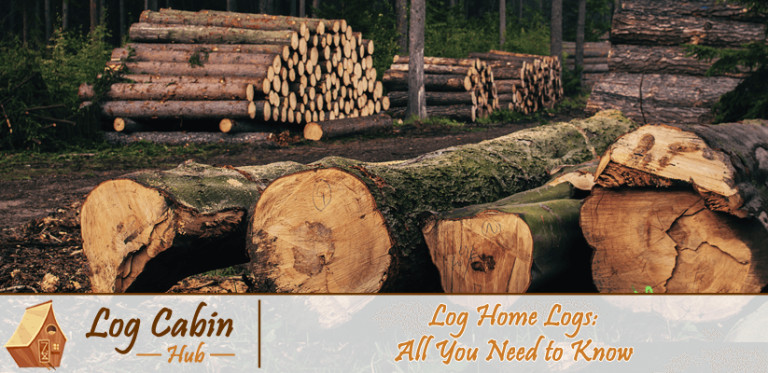 Log Home Logs: All You Need to Know - Log Cabin Hub
