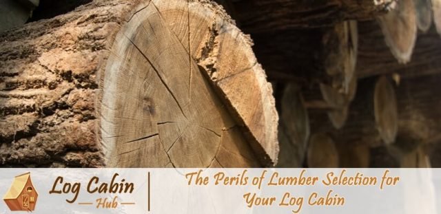 How to Build a Log Cabin (…from Scratch and by Hand) - Log Cabin Hub