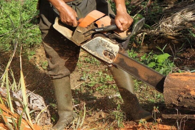 Harvesting Lumber and Preparing Logs For Your Log Cabin Home - Log ...